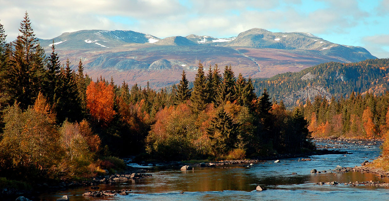 VALDRES NATUR- OG KULTURPARK - Valdres