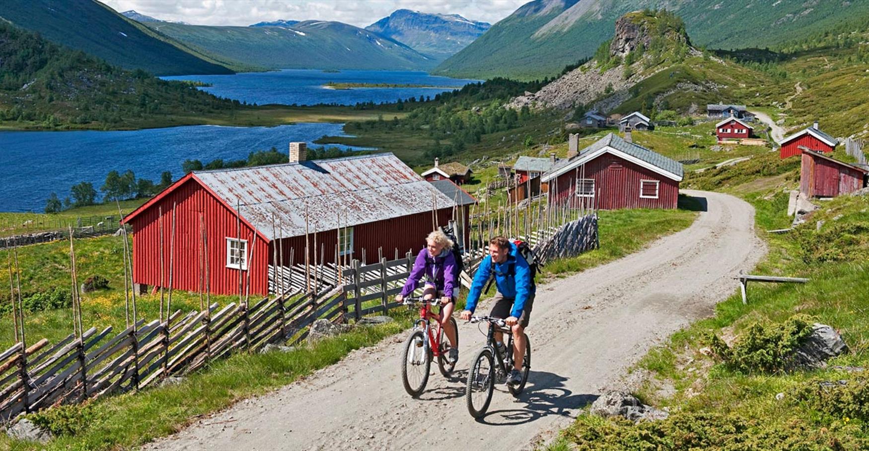 Sykling i Valdres